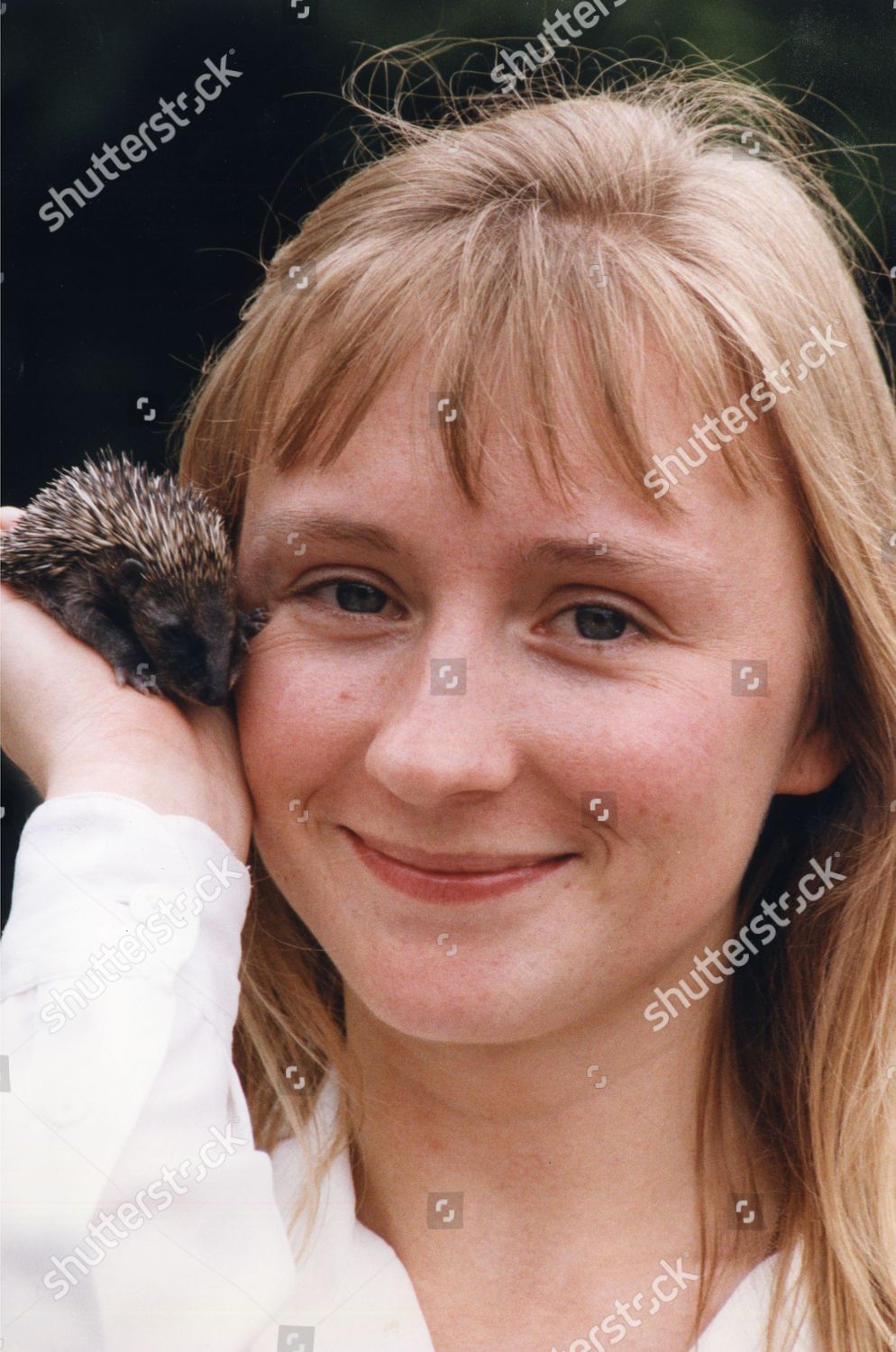 Susan Baxter 20 Day Old Hedge Editorial Stock Photo - Stock Image ...