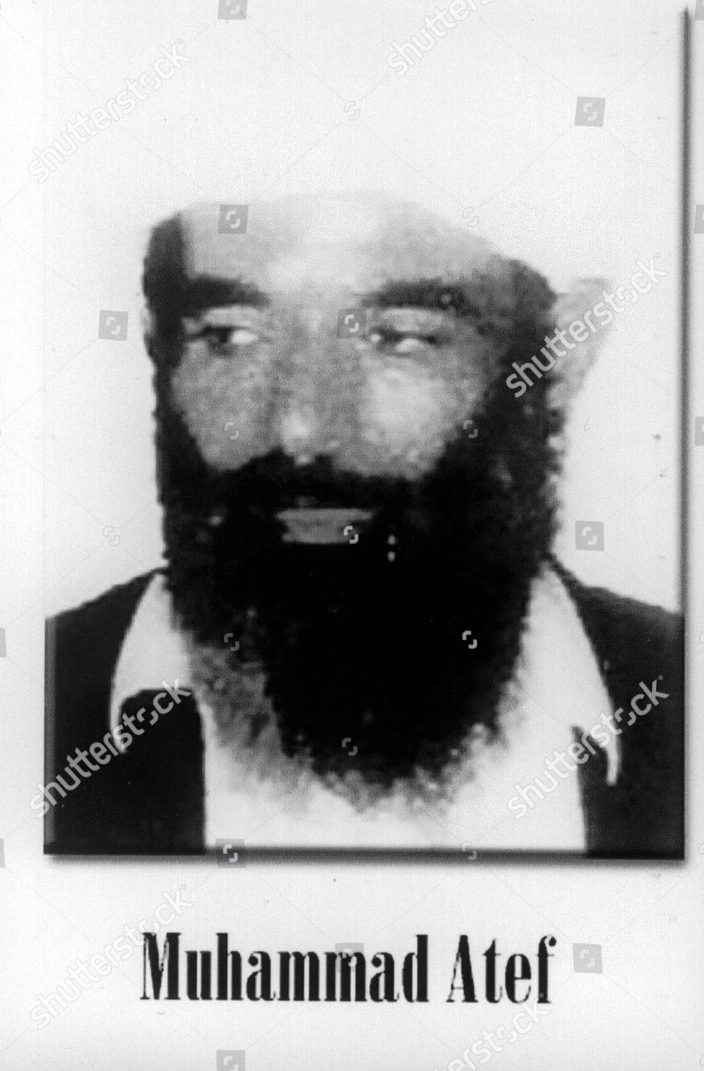Muhammad Atef Alleged Be Usama Bin Editorial Stock Photo - Stock Image | Shutterstock