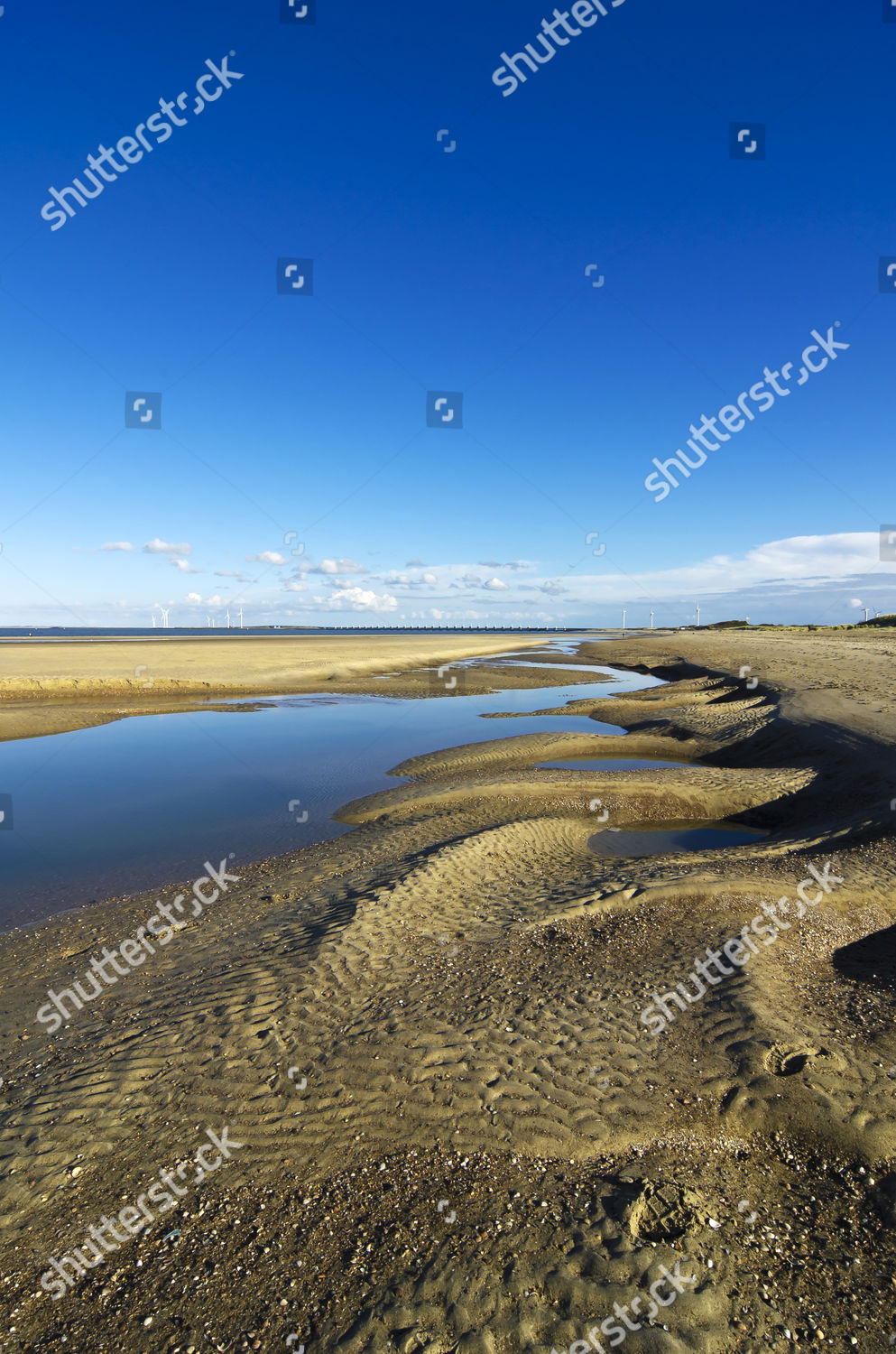 Landscape Dunes Deltapark Region Editorial Stock Photo - Stock Image ...
