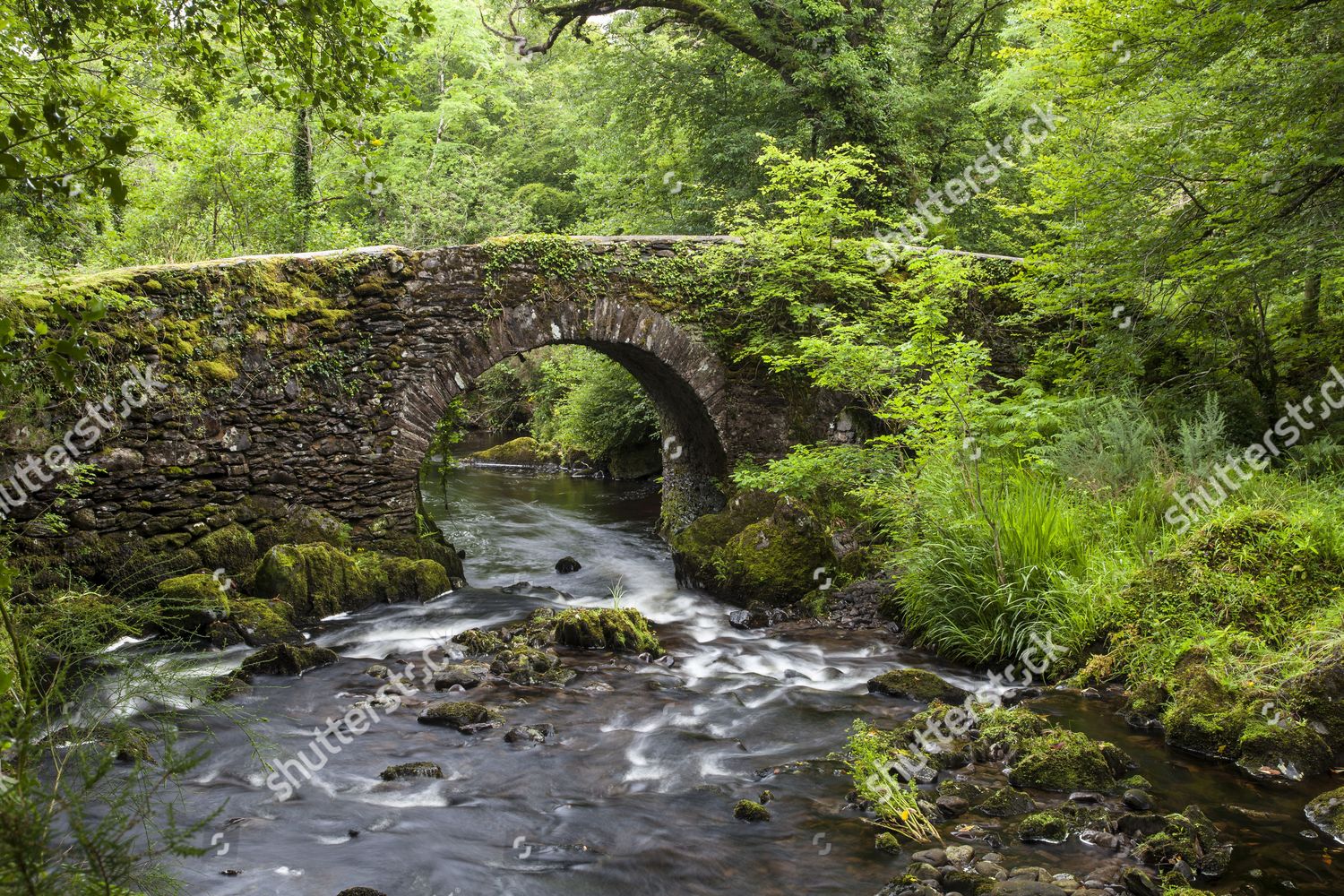 Stone Bridge Over Stream Editorial Stock Photo - Stock Image | Shutterstock