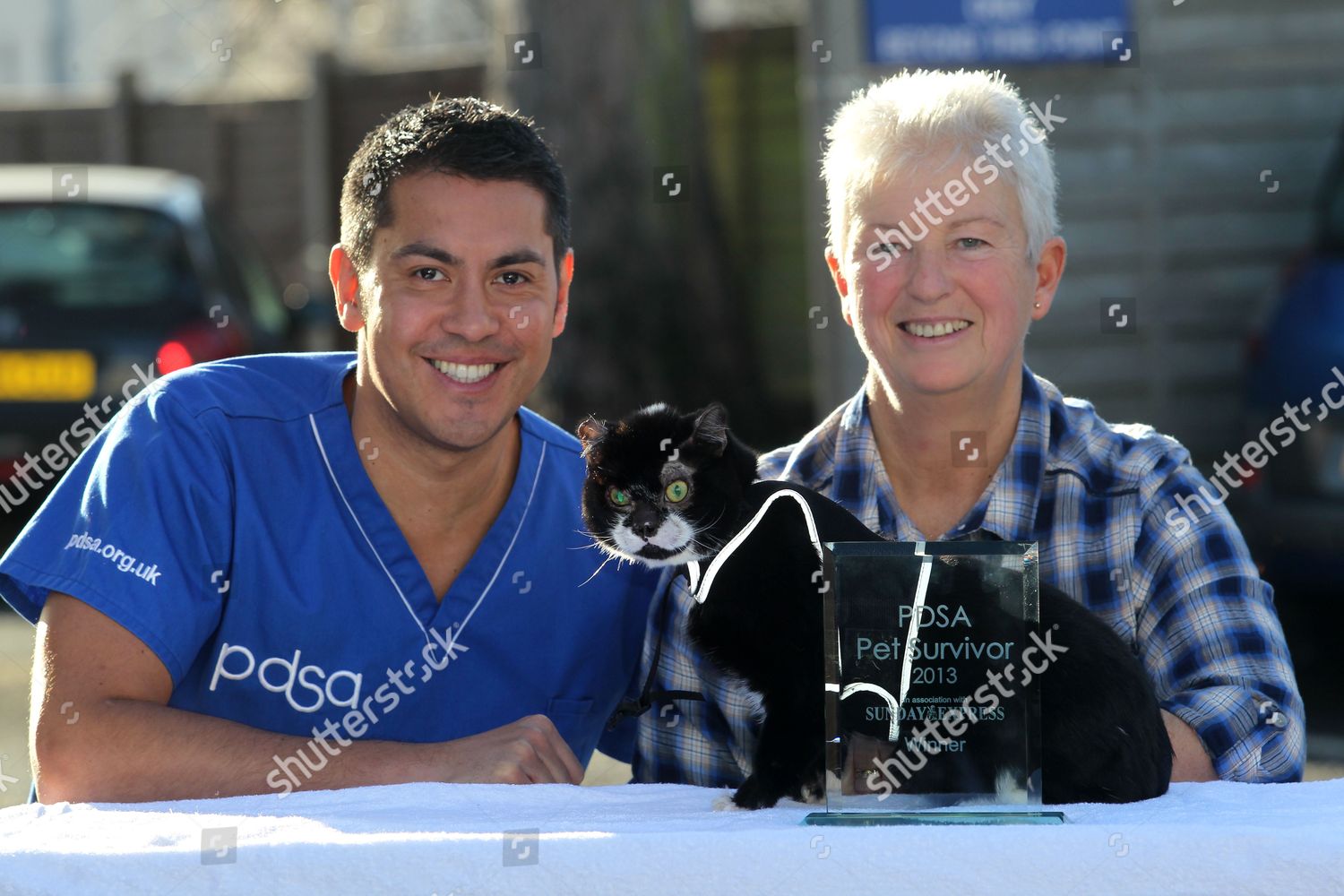 Robbie Cat His Award New Owner Editorial Stock Photo - Stock Image ...