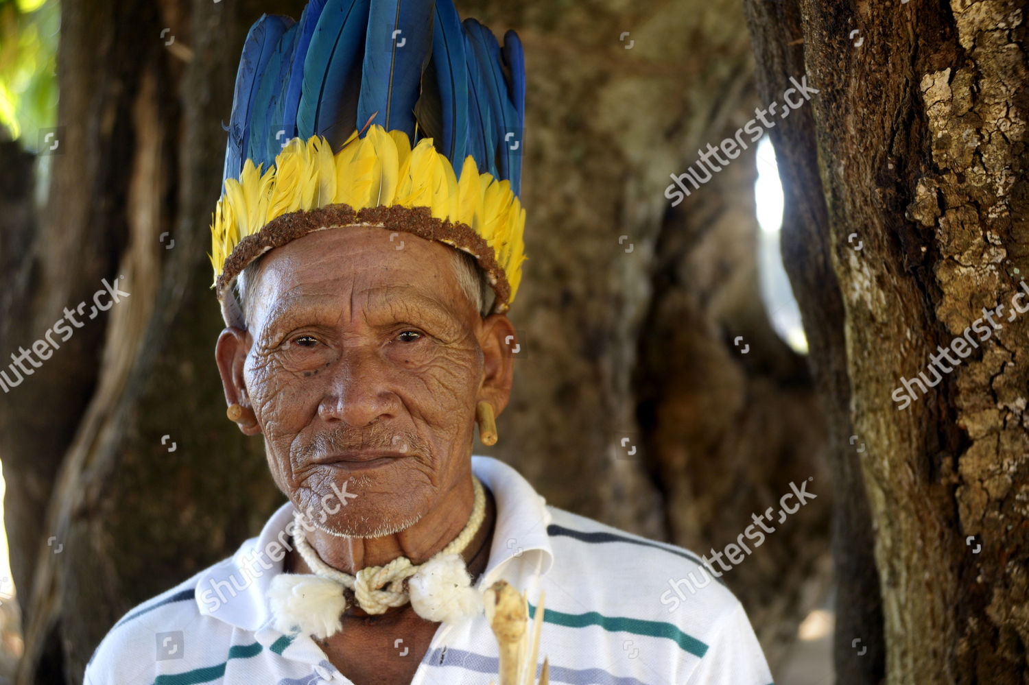 Cacique Xavante People Indigenous Tribe Headdress Editorial Stock Photo ...