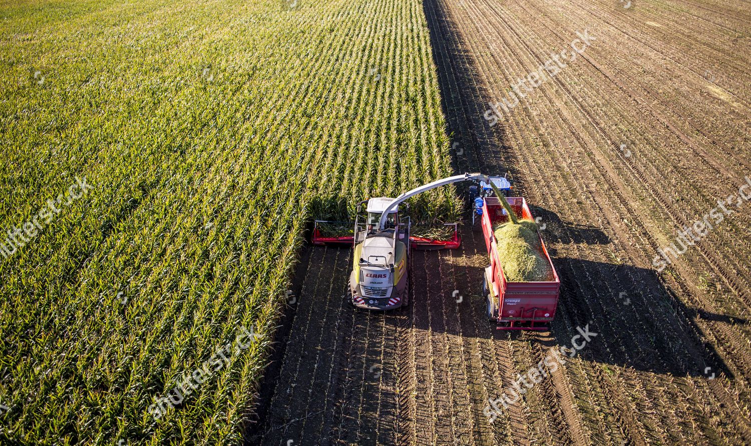 Corn Harvest Combine Harvester Working Through Editorial Stock Photo ... Corn Harvest Combine Harvester Working Through Editorial Stock Photo ...