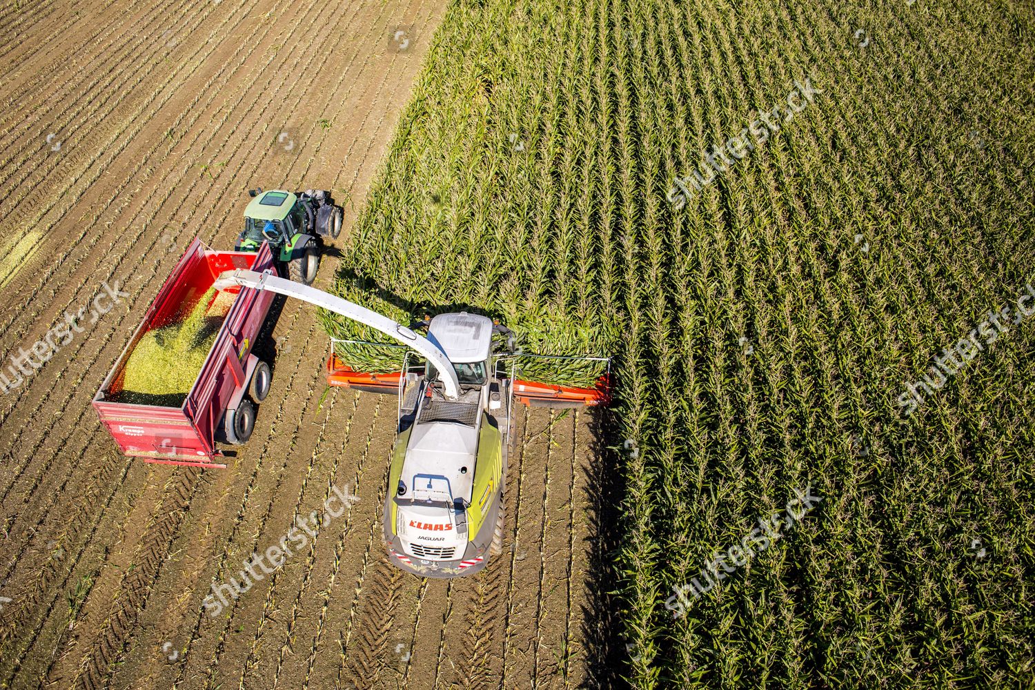 Corn Harvest Combine Harvester Working Through Editorial Stock Photo ... Corn Harvest Combine Harvester Working Through Editorial Stock Photo ...