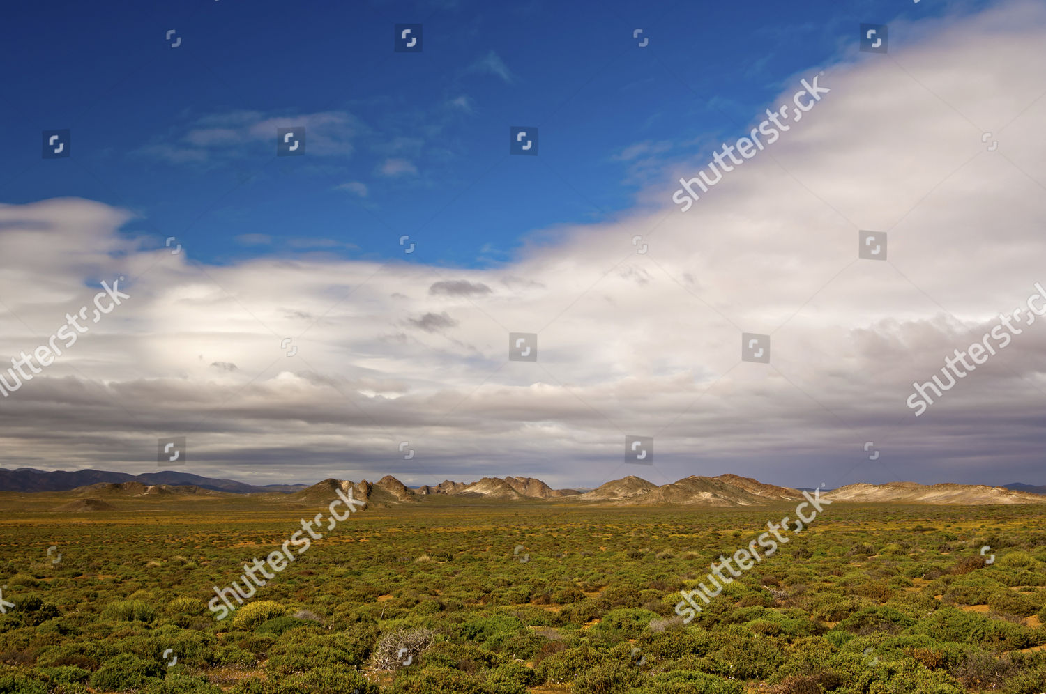 Nama Karoo Lowshrub Vegetation Area Richtersveld Editorial Stock Photo ...