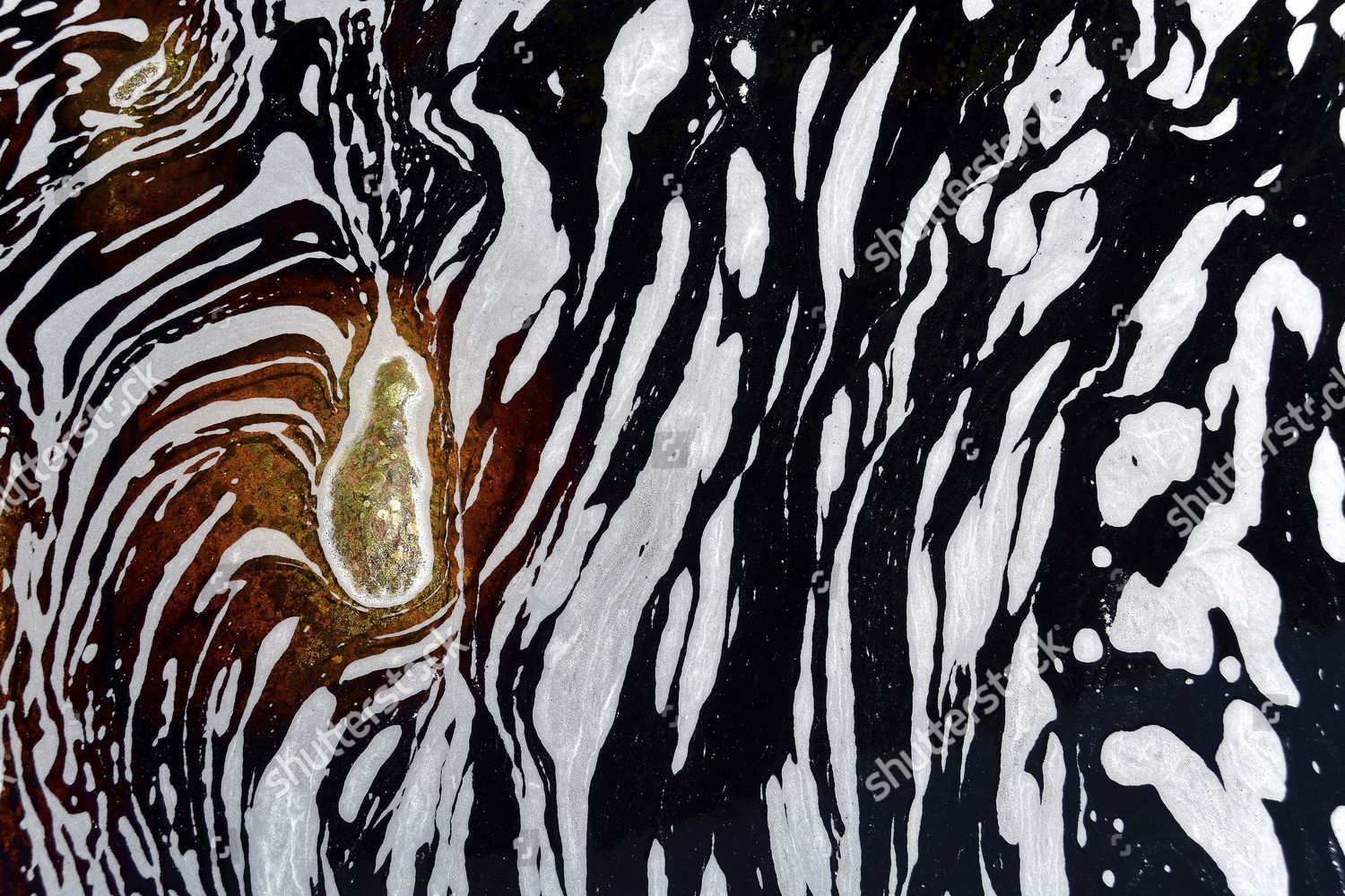 Typical Foam Structures On Blackwater River Editorial Stock Photo ...