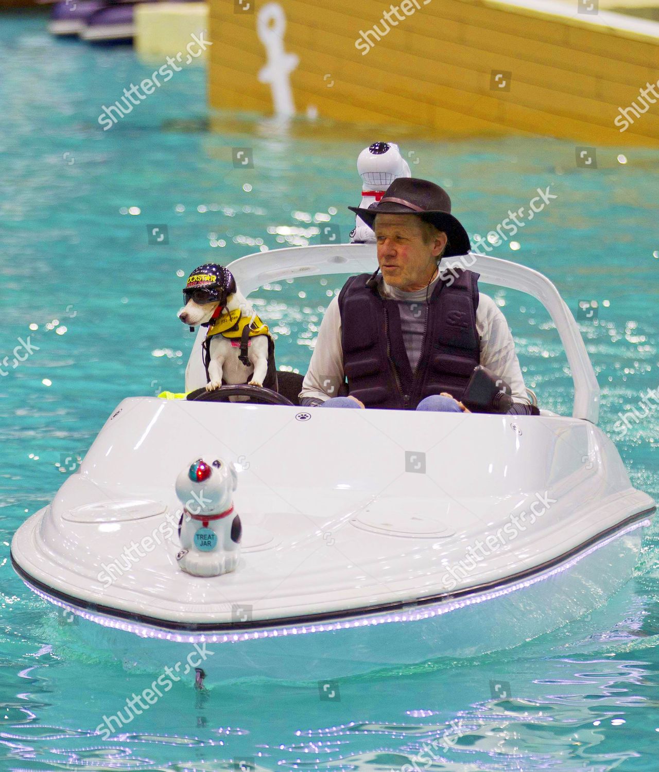 Jack Russell Terrier Dog Named Duma Editorial Stock Photo - Stock Image ...