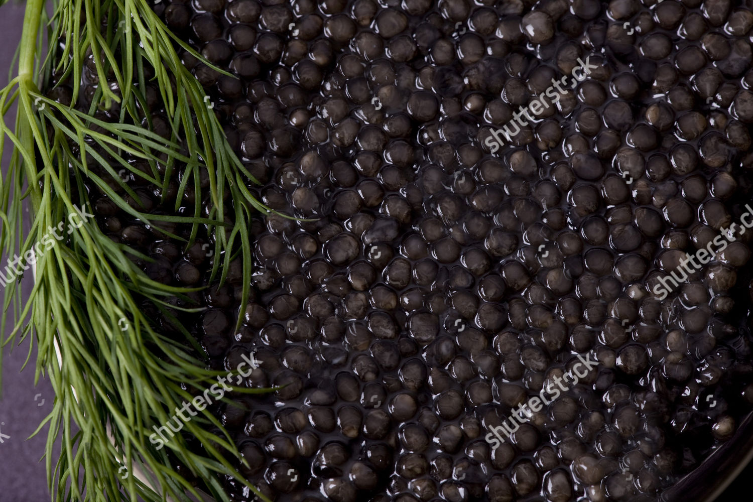 Sturgeons Egg Caviar Editorial Stock Photo - Stock Image | Shutterstock