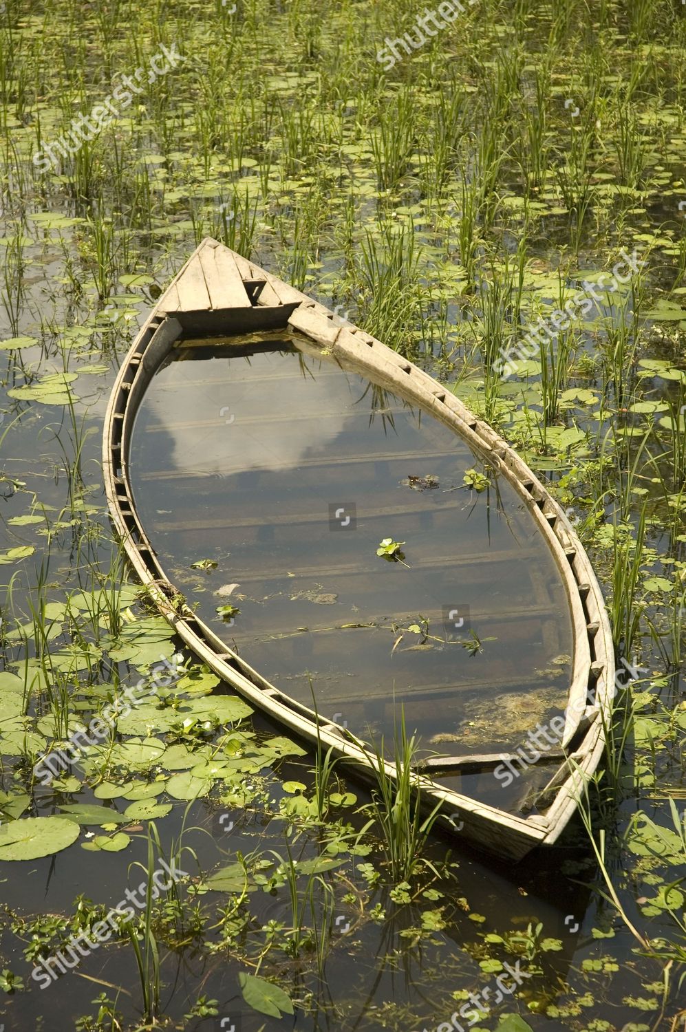 Shabby Old Boat Left Swamp Village Editorial Stock Photo - Stock Image ...