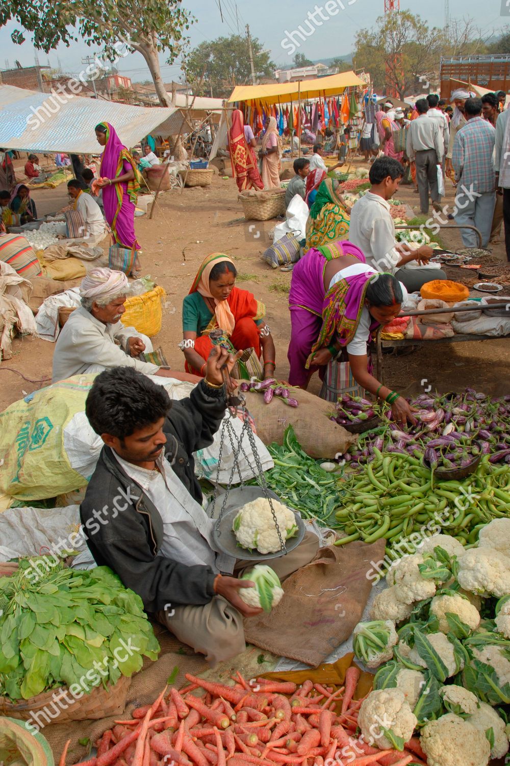 Farm Fresh Vegetables Such Bengan Brinjal Editorial Stock Photo - Stock ...