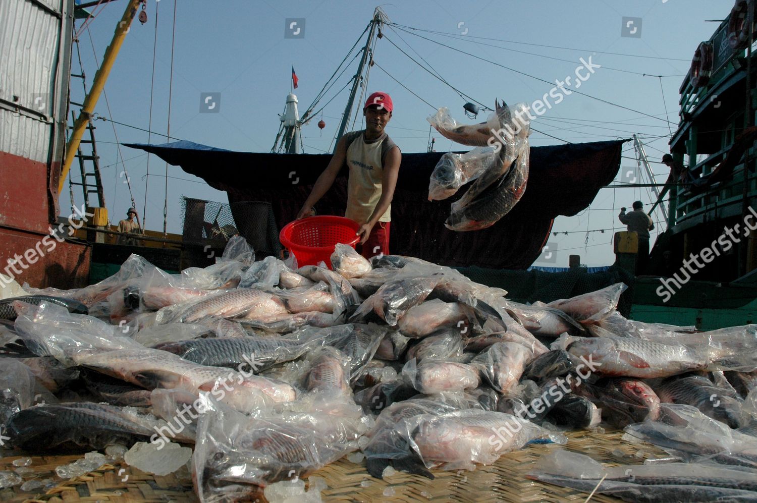 Fisher Men Unloading Fish Cargo Ship Editorial Stock Photo - Stock ...