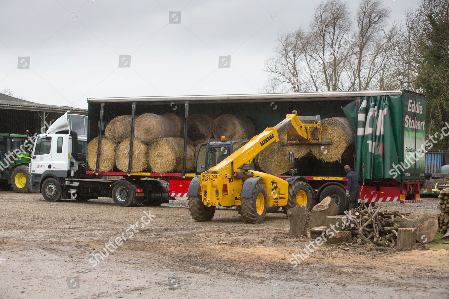 Hay Bales Loaded Onto Tesco Lorry Editorial Stock Photo - Stock Image ...
