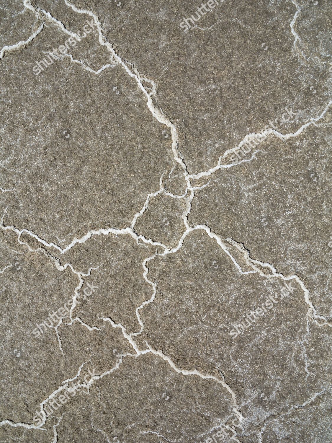 Detailed View Salt Deposits On Salt Editorial Stock Photo - Stock Image ...