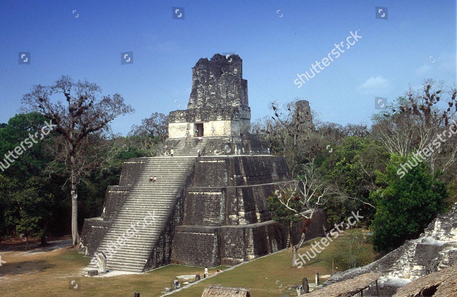 Temple Masks Tikal Guatemala Editorial Stock Photo - Stock Image ...