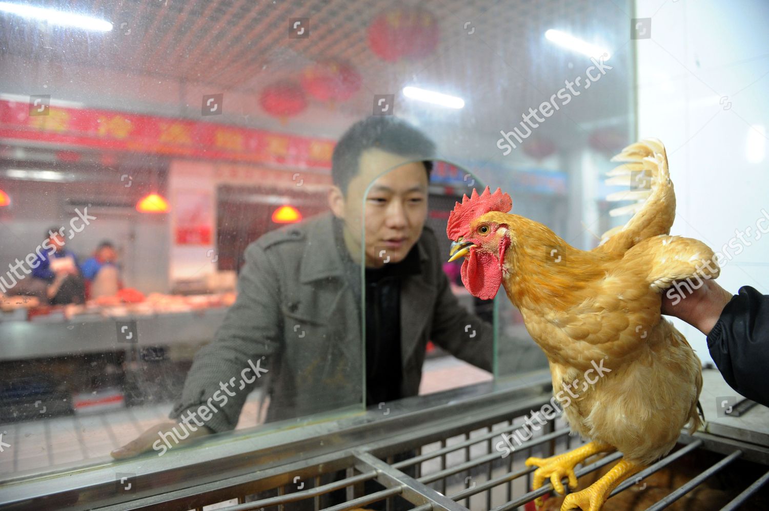 Man Buys Chicken Poultry Market Editorial Stock Photo - Stock Image ...