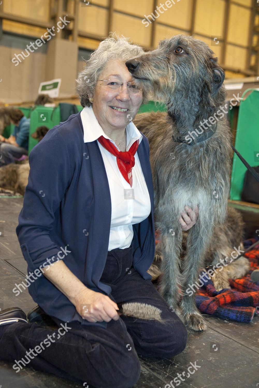 Crufts Lookalikes Kay Dockree Her Deerhound Editorial Stock Photo ...