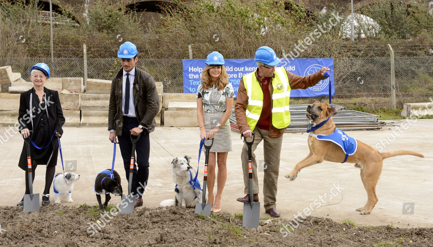 Jacqueline Wilson David Gandy Amanda Holden Editorial Stock Photo ...