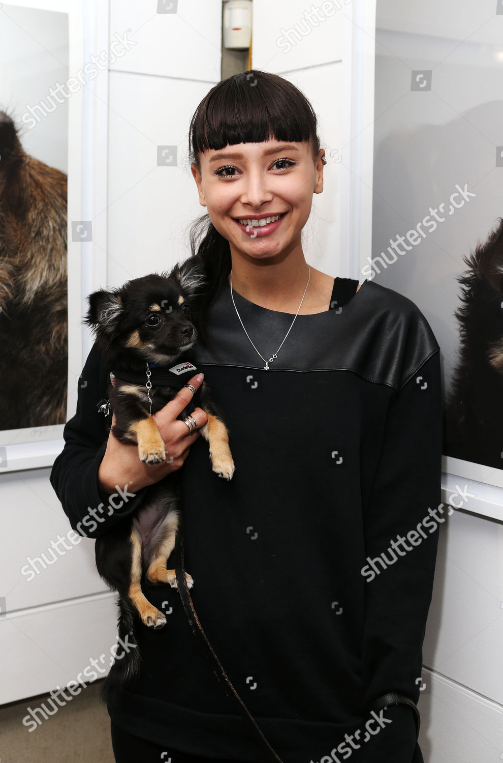 Leah Weller Dog Editorial Stock Photo - Stock Image | Shutterstock