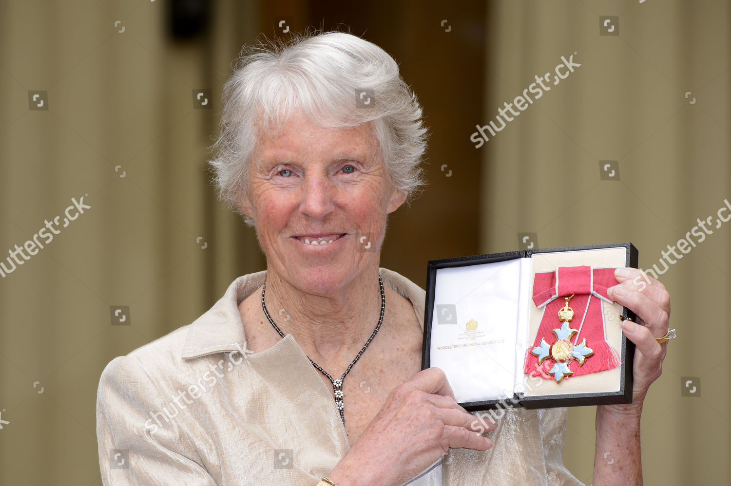 Ann Haydonjones Becomes Commander Order British Editorial Stock Photo ...