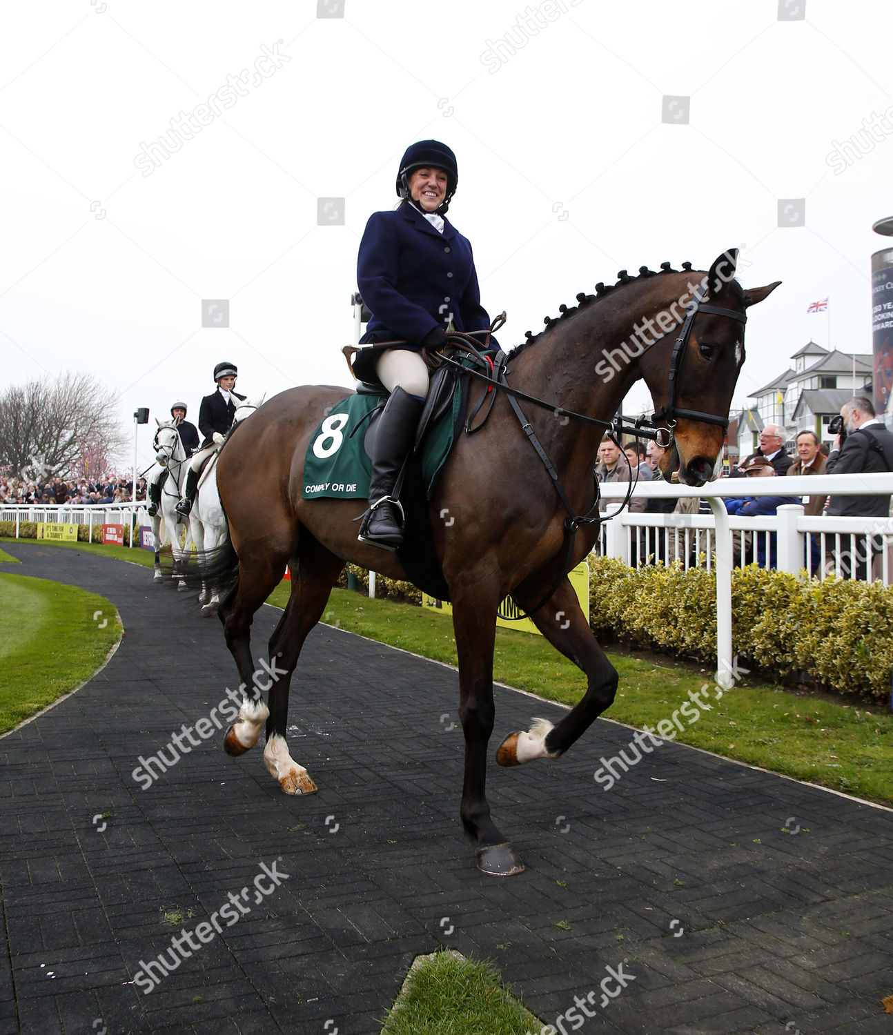 Comply Die Tasha Murphy Retraining Racehorses Editorial Stock Photo ...