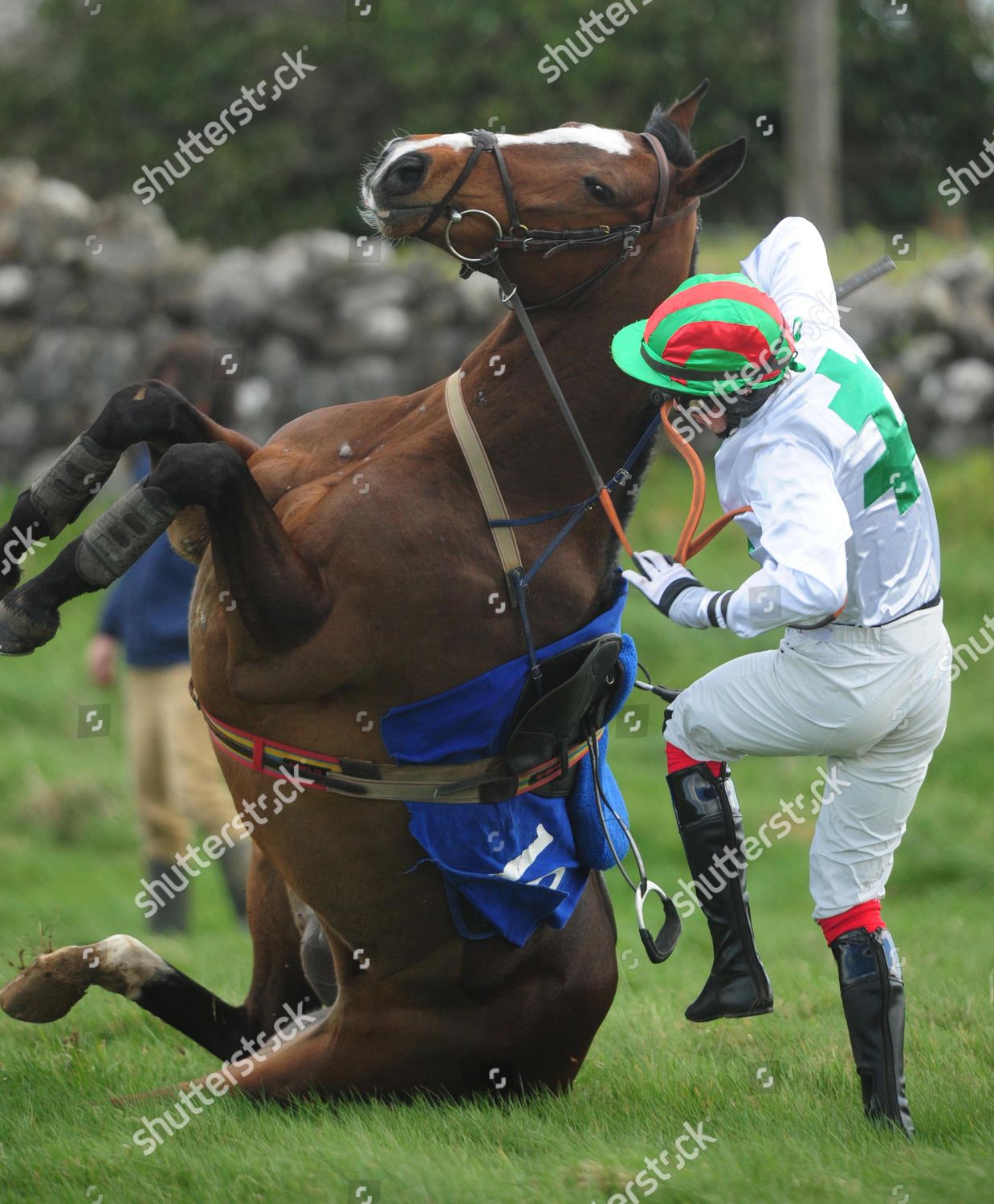 Castletowngeoghegan Ptp Bolivar Plays Jockey Paul Editorial Stock Photo ...