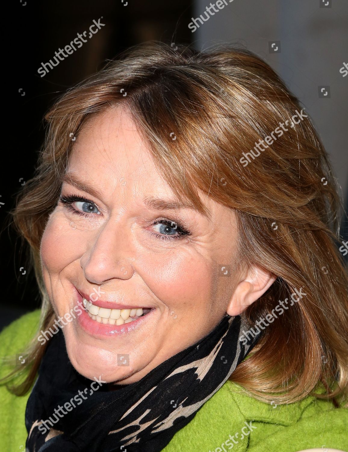 Fern Britton Editorial Stock Photo - Stock Image | Shutterstock