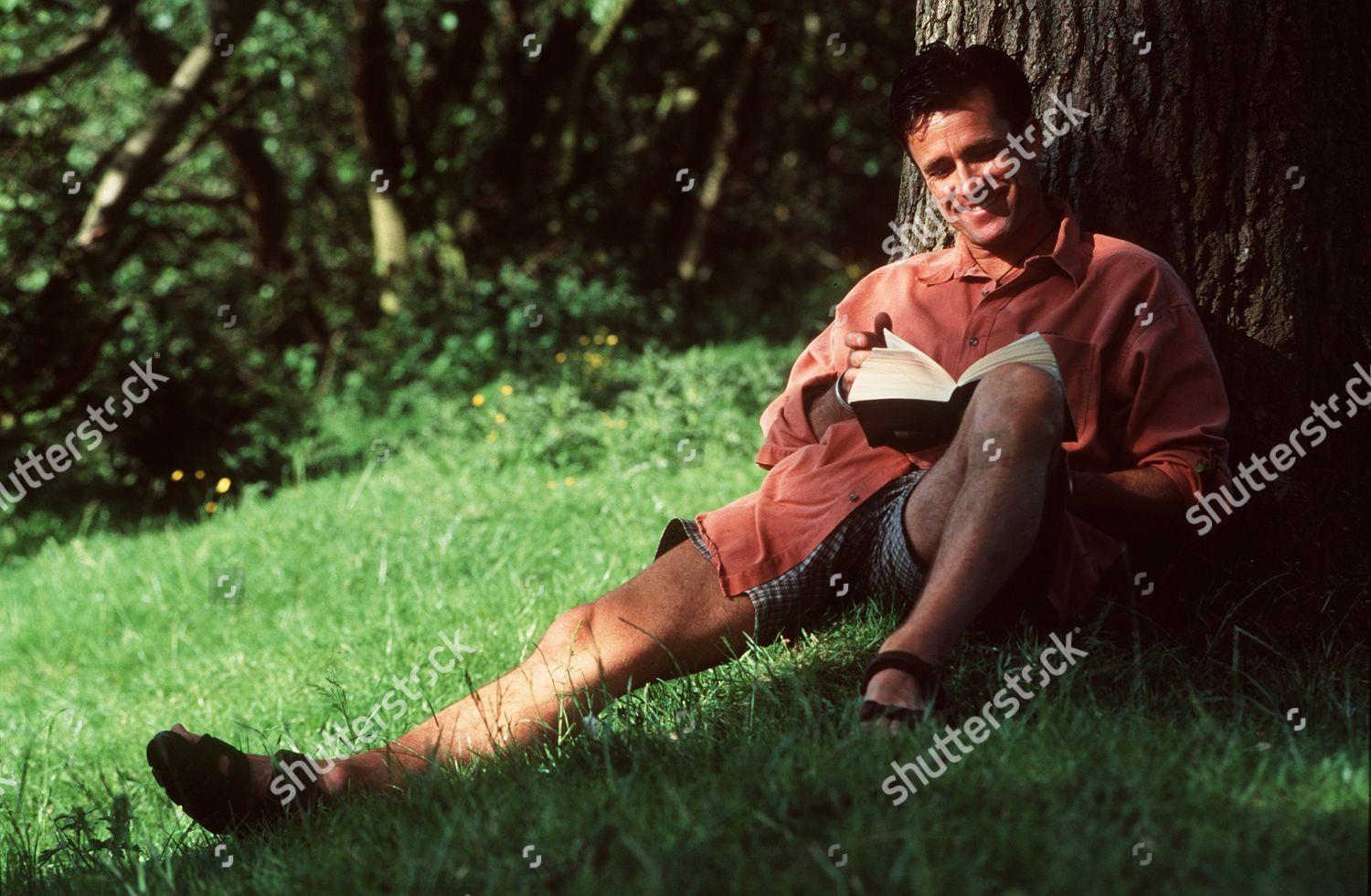 Man Relaxing Reading Book By Tree Editorial Stock Photo - Stock Image ...