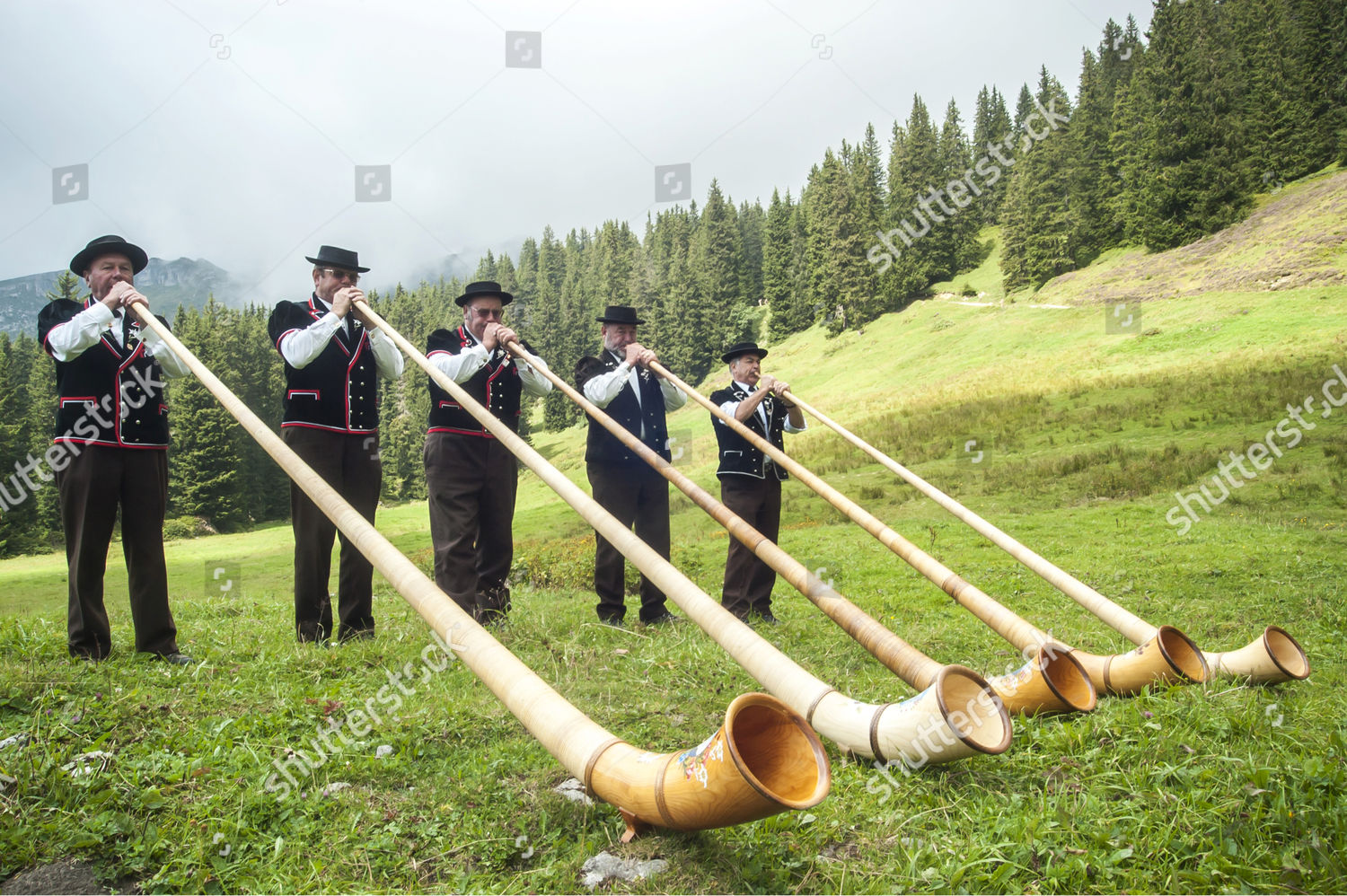 Group Alphorn Players Performing On Meadow Editorial Stock Photo ...