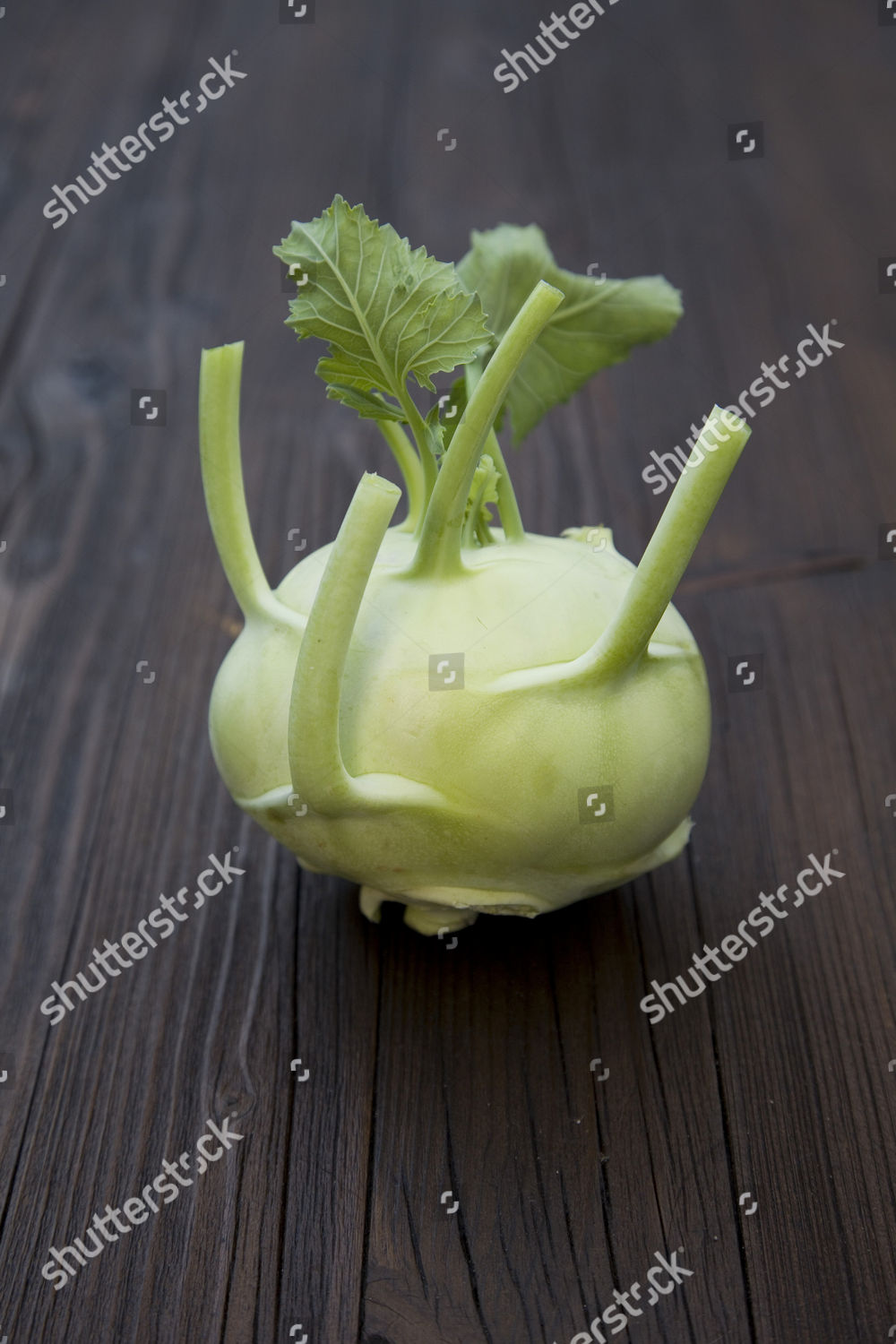 Kohlrabi Organic Vegetable Editorial Stock Photo - Stock Image ...