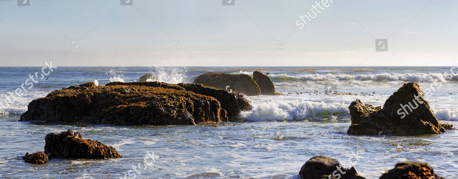 Rocks Surf Brown Algae Phaeophyceae Pacific Editorial Stock Photo ...