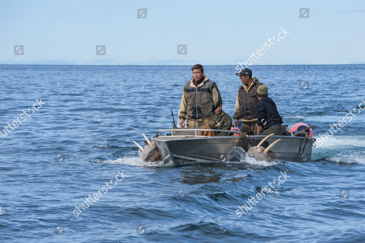 Walrus Hunters Chukotka Russia Editorial Stock Photo - Stock Image ...