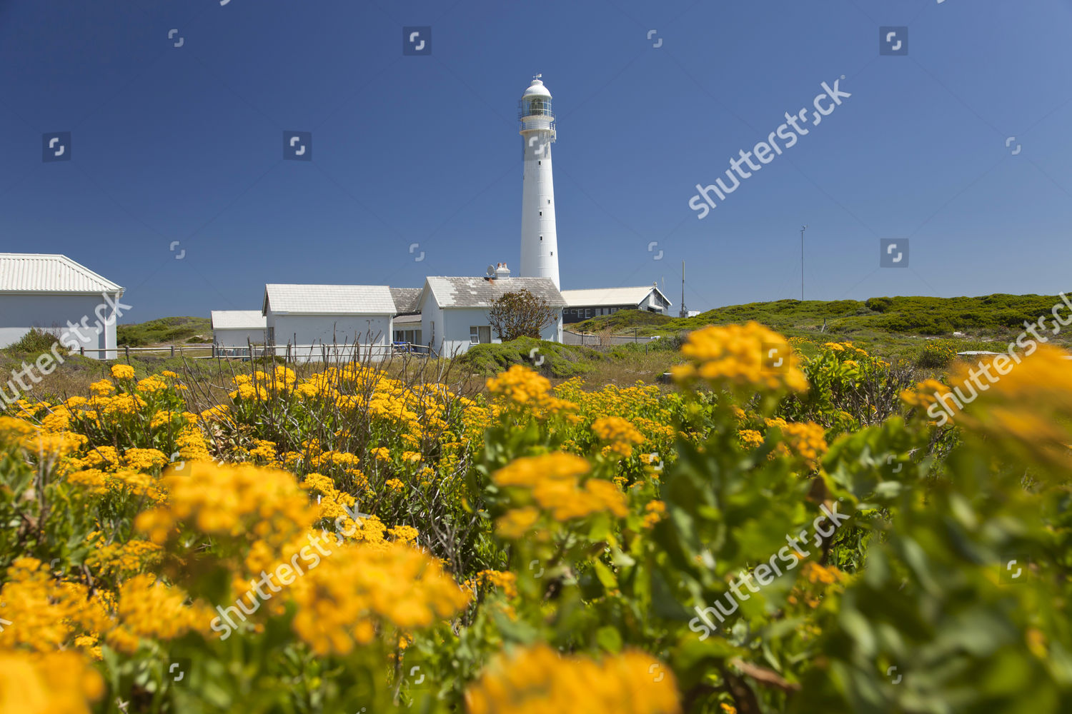 Slangkop Lighthouse Near Kommetjie Cape Town Editorial Stock Photo ...