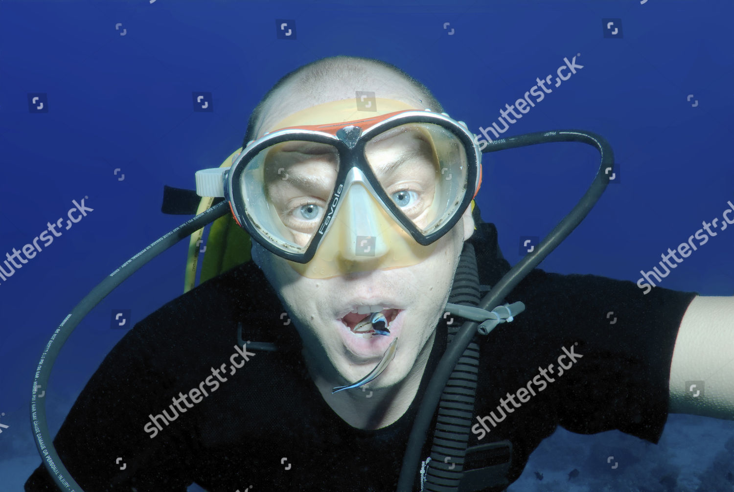 Model Released Diver False Cleanerfish Aspidontus Editorial Stock Photo ...