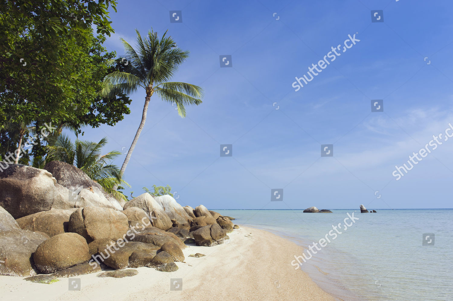 Beach Palm Trees Lamai Beach Ko Editorial Stock Photo - Stock Image ...