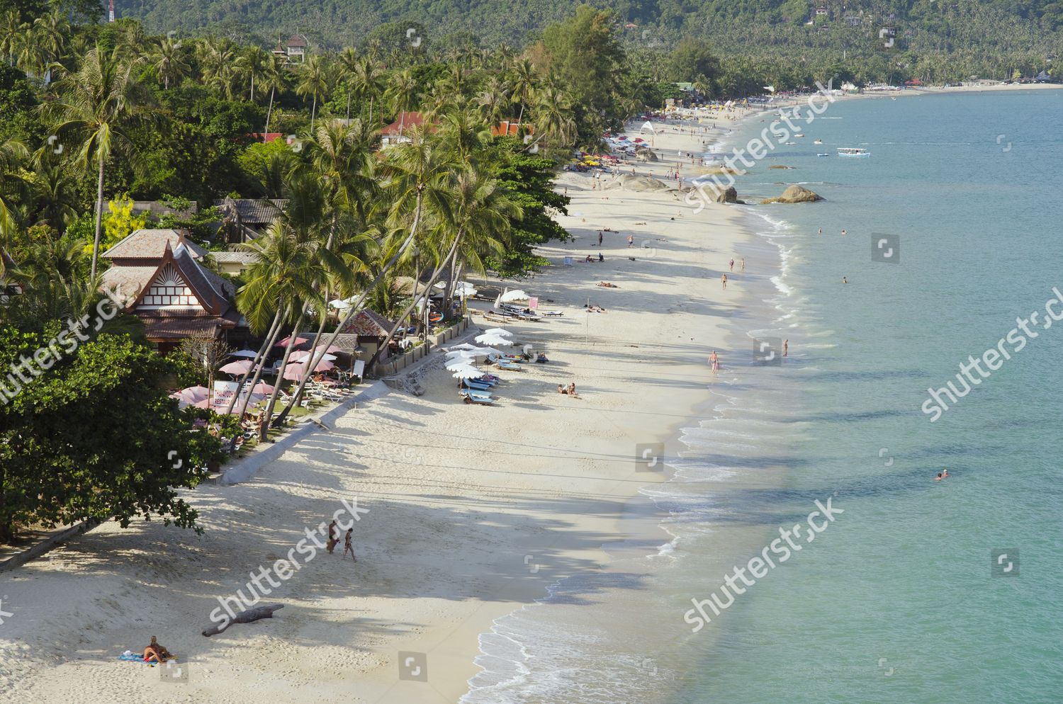 Beach Palm Trees Lamai Beach Ko Editorial Stock Photo - Stock Image ...