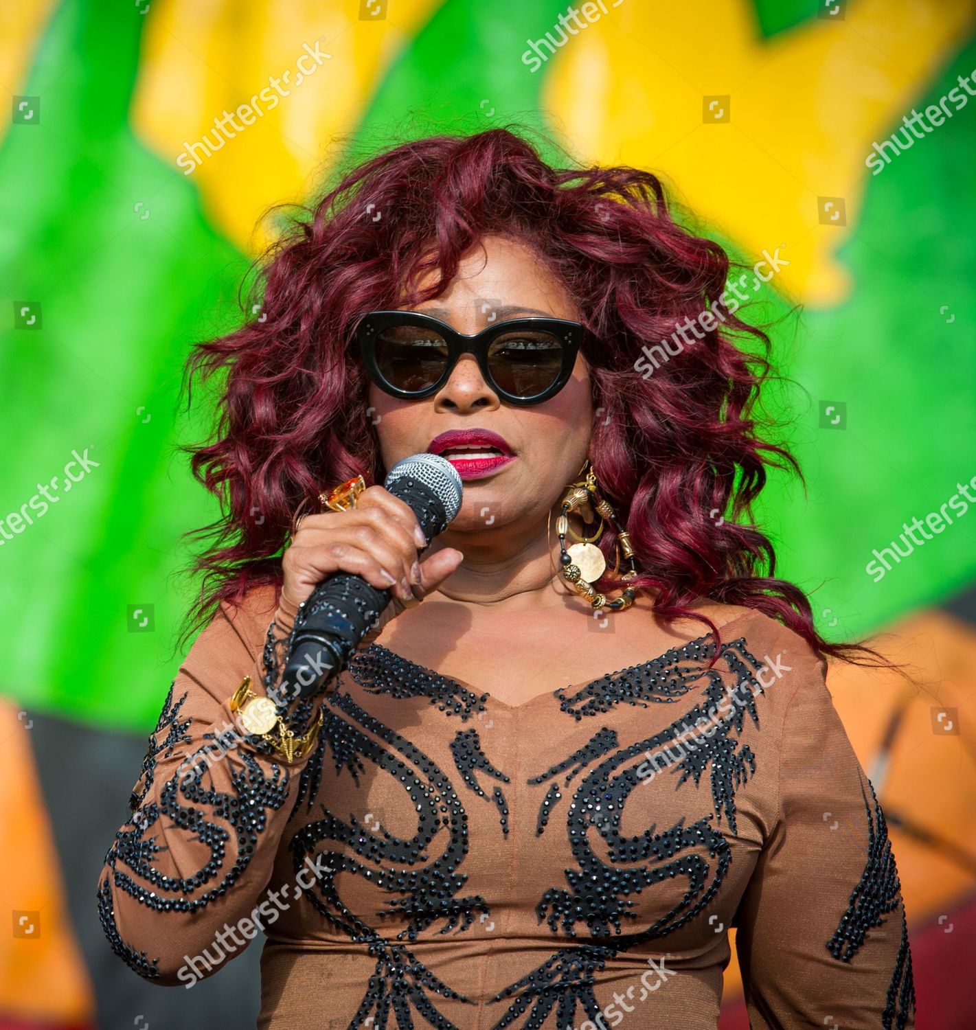 Chaka Khan Editorial Stock Photo - Stock Image | Shutterstock