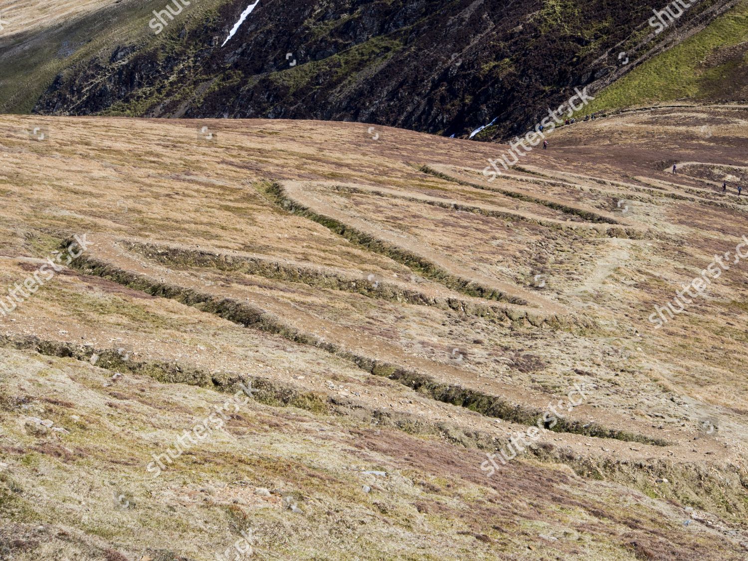 Raised Footpath Counteract Footpath Erosion On Editorial Stock Photo ...