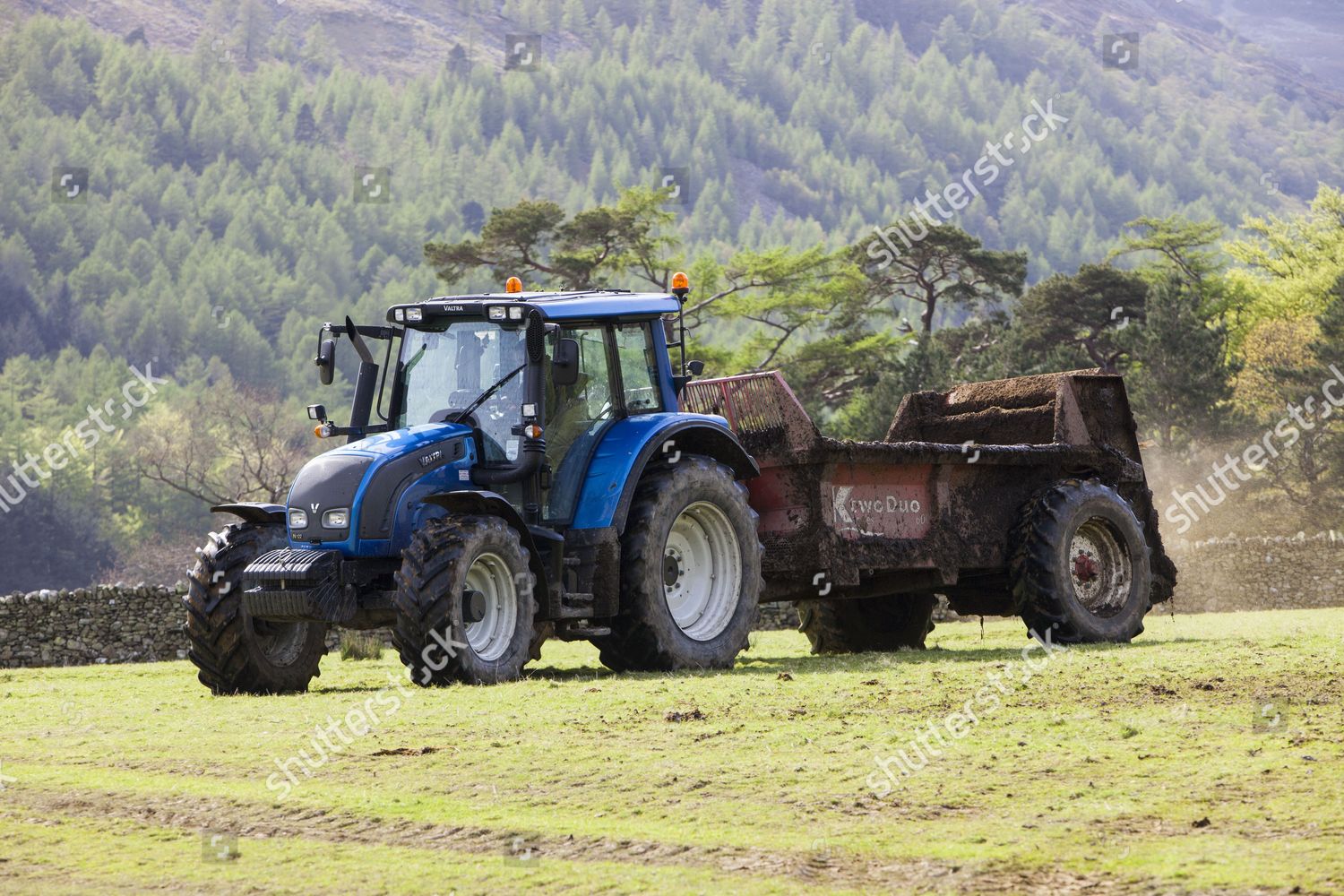 Farmer Spreading Cow Muck On Field Editorial Stock Photo - Stock Image ...