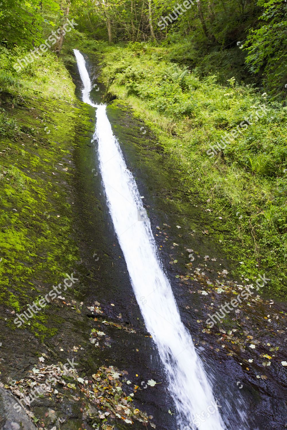 White Lady Waterfall Lydford Gorge Deepest Editorial Stock Photo - Stock Image | Shutterstock