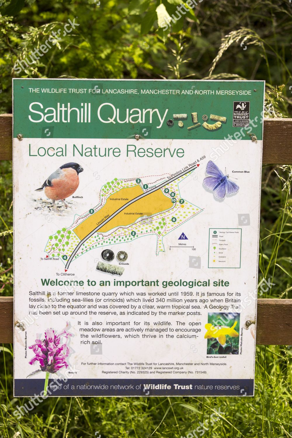 Salthill Quarry Nature Reserve Clitheroe Lancashire Editorial Stock ...