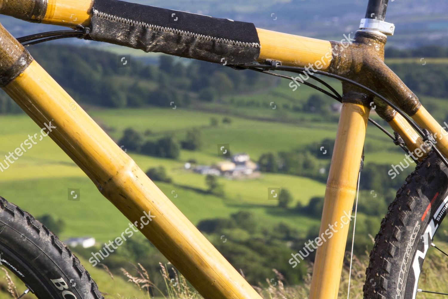 Bamboo Frame Bike Developed By Dr Editorial Stock Photo - Stock Image ...