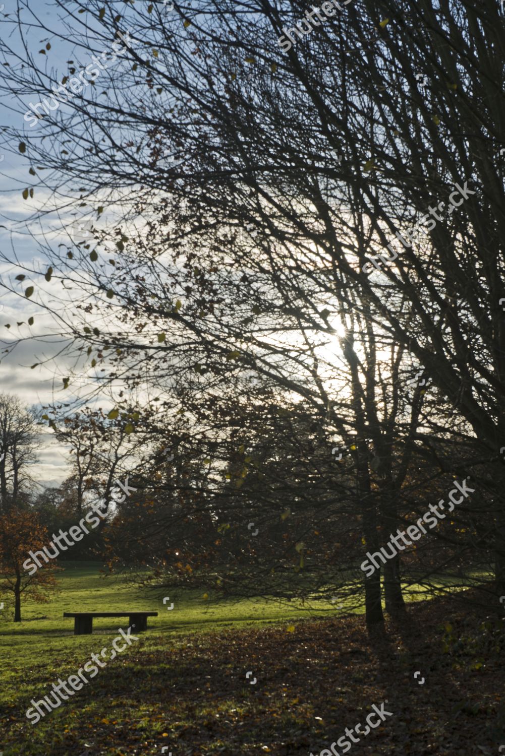 Botley Park Chertsey Surrey England Britain Editorial Stock Photo ...