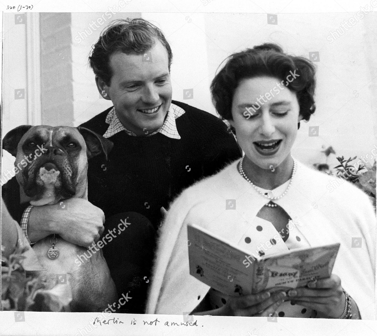 Princess Margaret Friend Merlin Dog Editorial Stock Photo - Stock Image ...