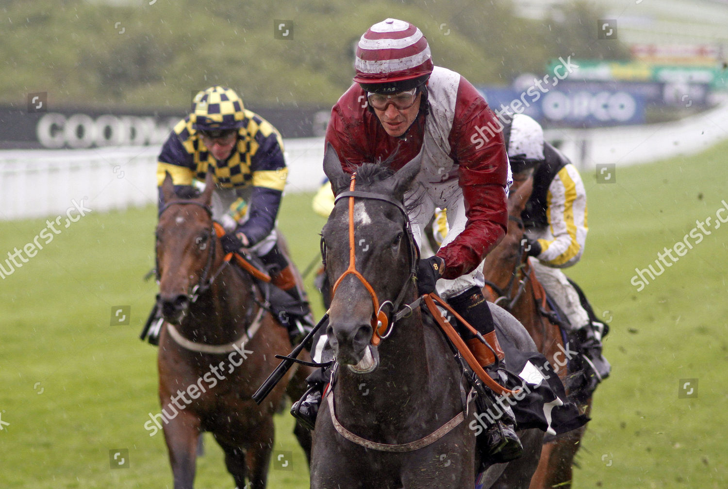 Parsley Richard Hughes Wins Spitfire Maiden Editorial Stock Photo ...