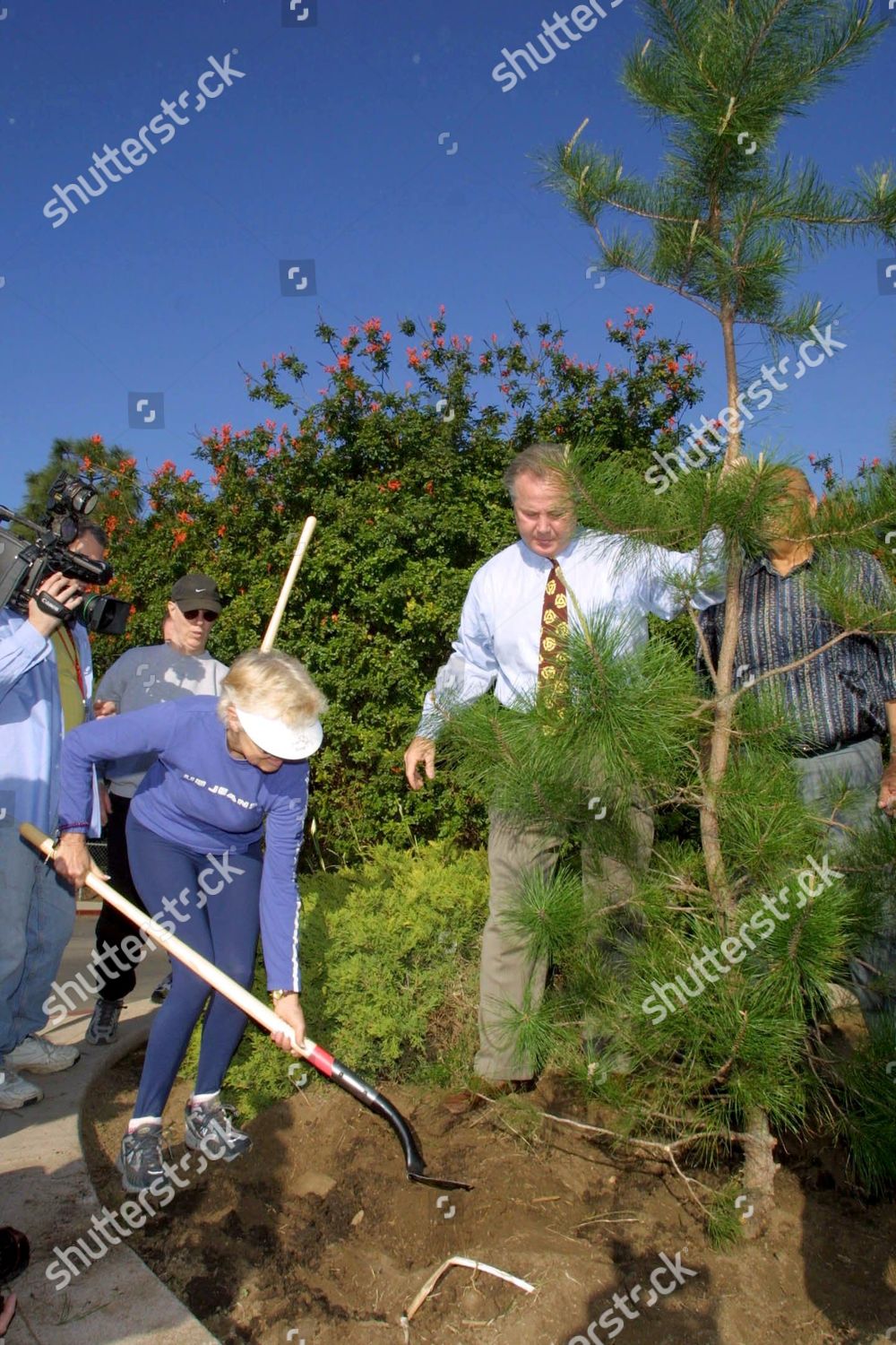 Tree Planted Memory George Harrison By Editorial Stock Photo - Stock ...