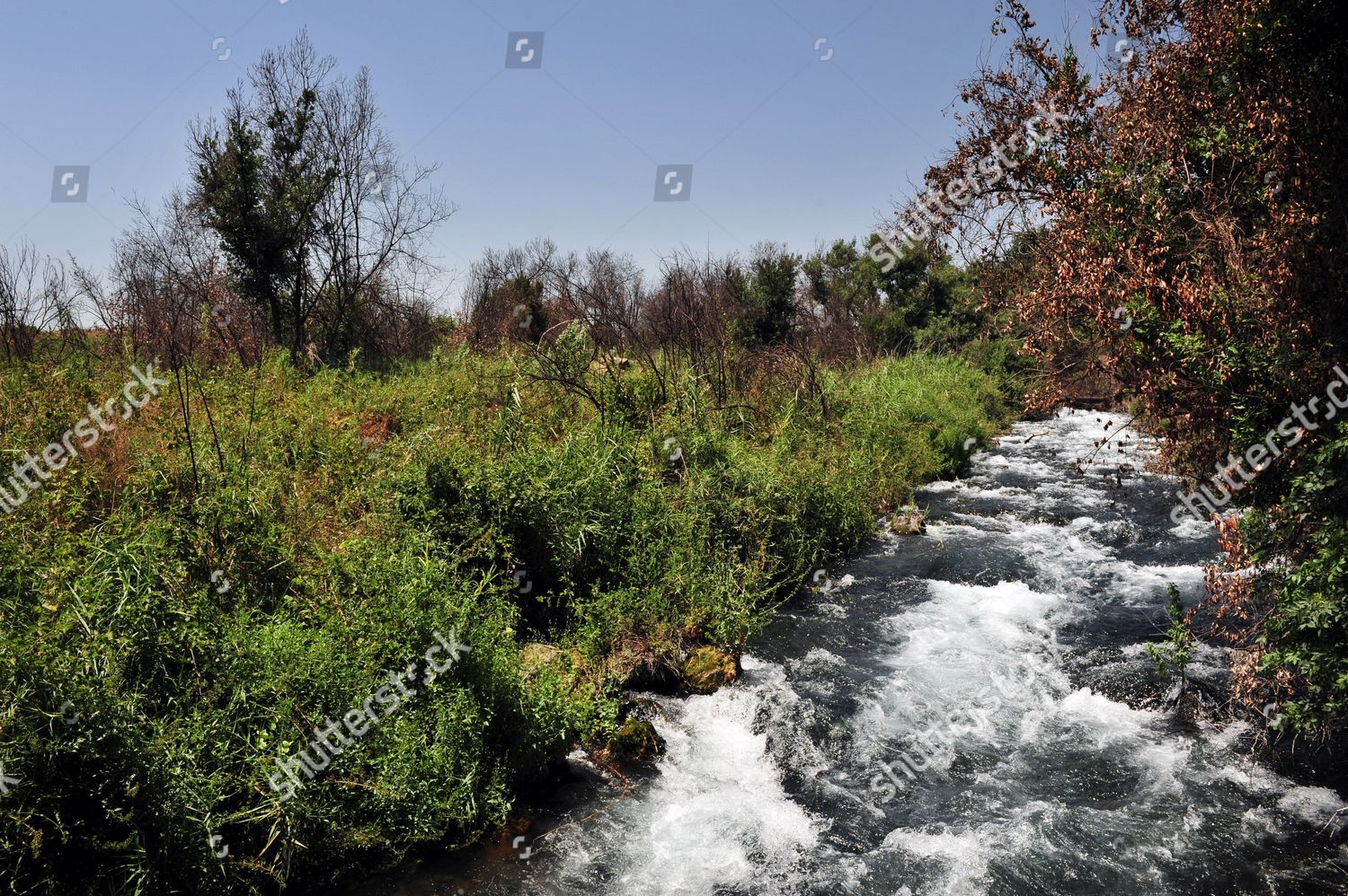 Dan River Located Base Mount Hermon Editorial Stock Photo - Stock Image ...