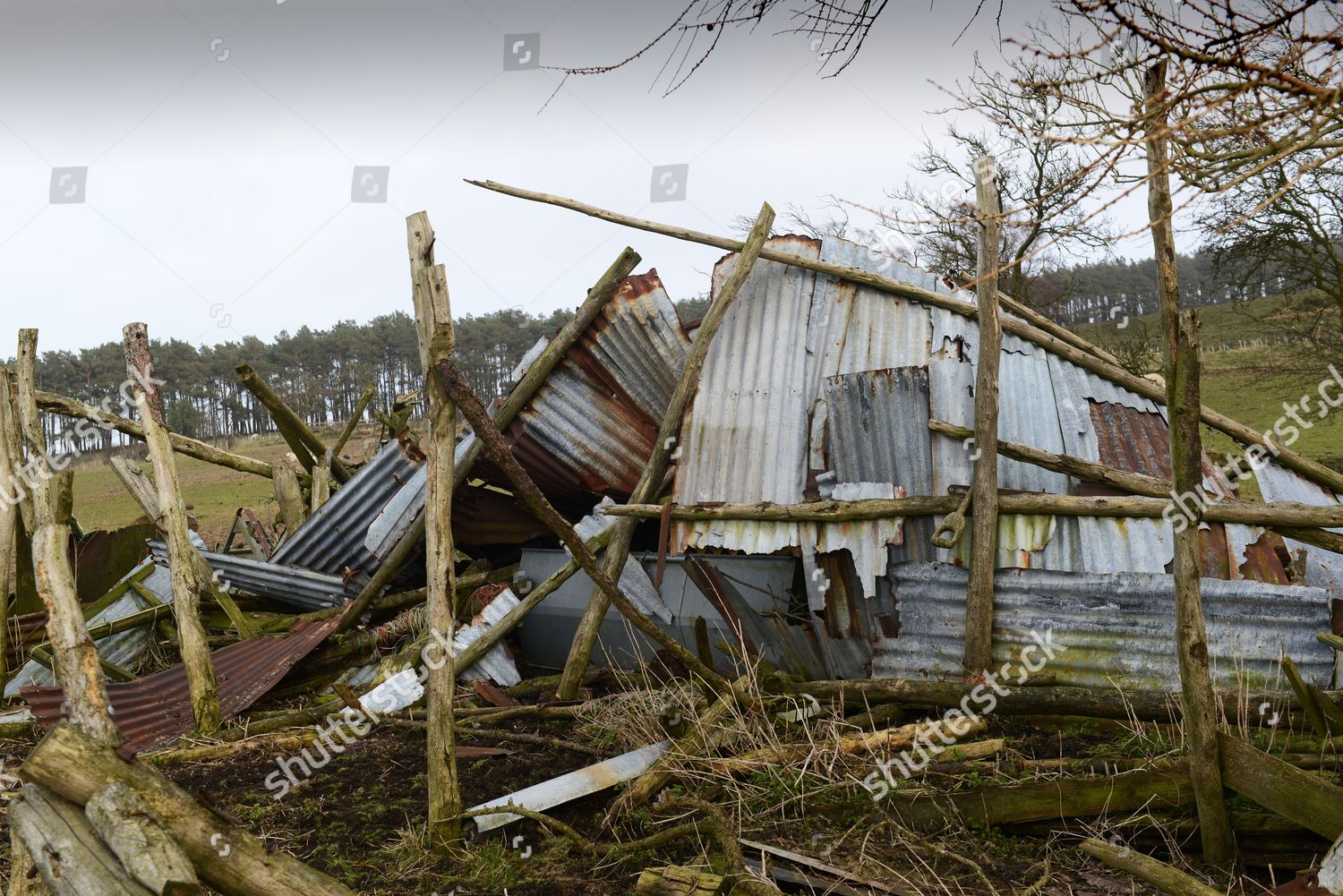 Derelict Rural Farm Building Destroyed By Editorial Stock Photo - Stock ...