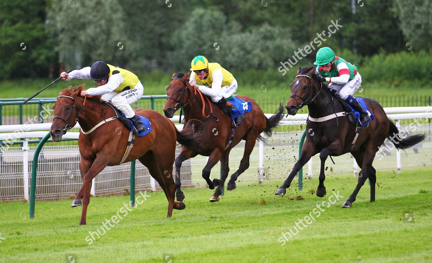 Flashy Queen Steve Drowne Win Toteexacta Editorial Stock Photo - Stock ...