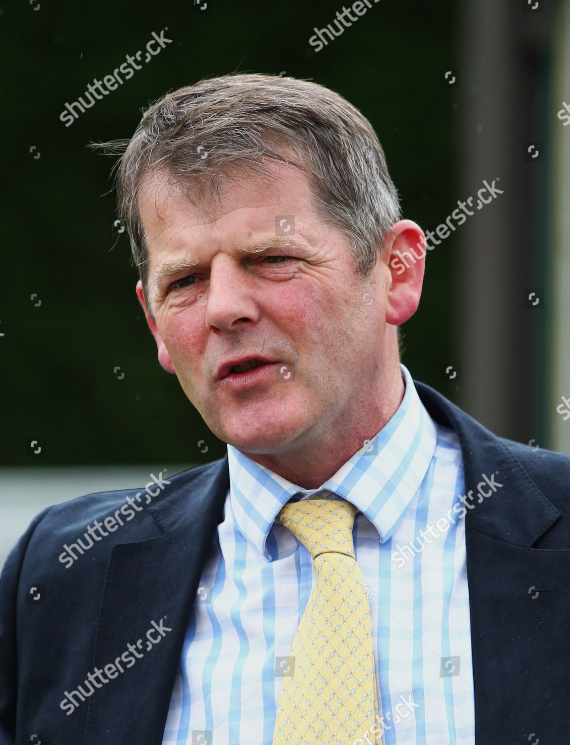 Joseph Tuite After Flashy Queen Had Editorial Stock Photo - Stock Image ...