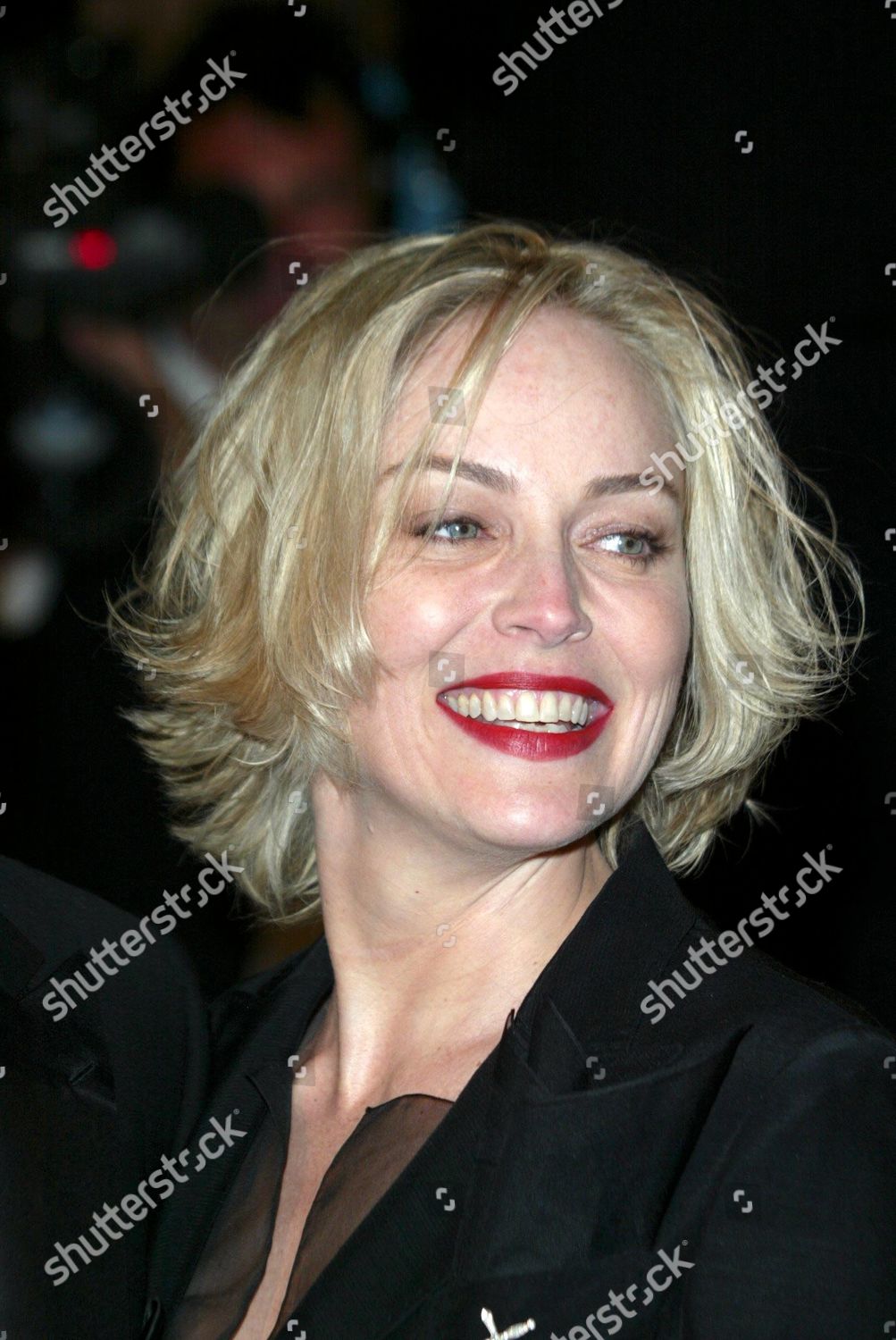 Sharon Stone Editorial Stock Photo - Stock Image | Shutterstock